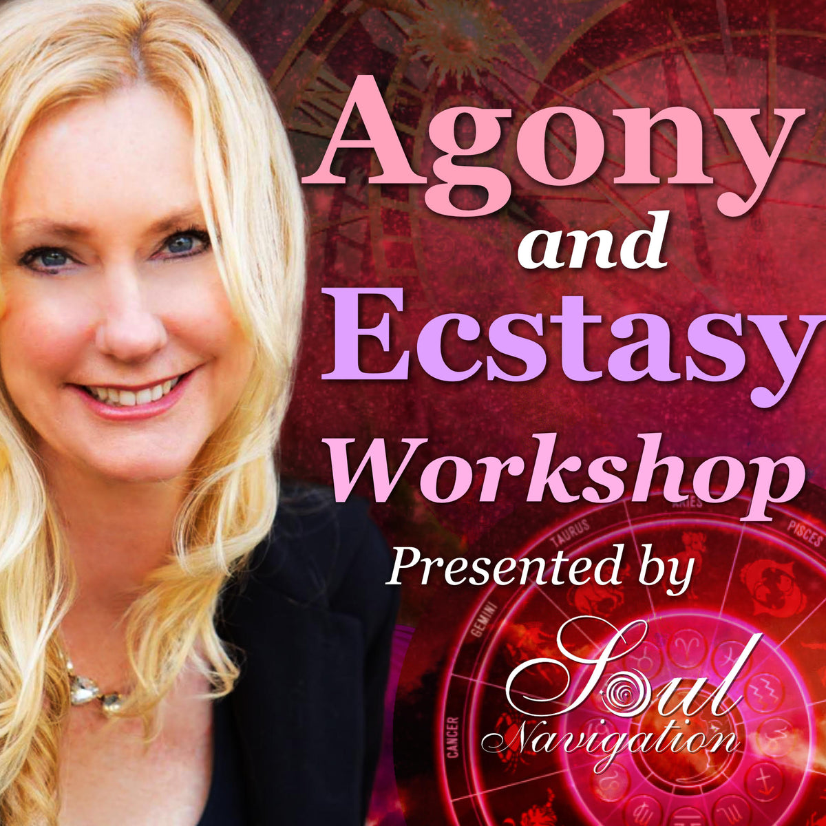 NEW!! Meredith's "Agony and Ecstasy" Workshop, Seattle 2025 - video li ...